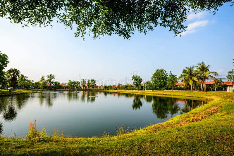 Garden with a Small Lake Landscape Stock Photo - Image of beautiful ...