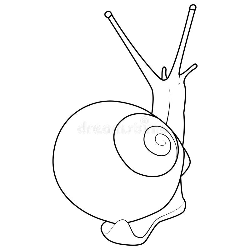 Garden Snail Line Art. Vector Elements Isolated on White Background ...