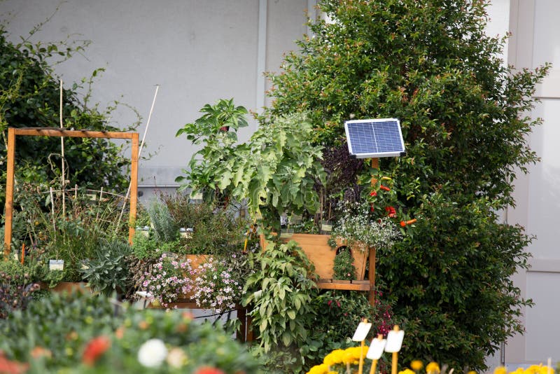 Garden with solar panel stock image. Image of courtyardmhome - 161796615
