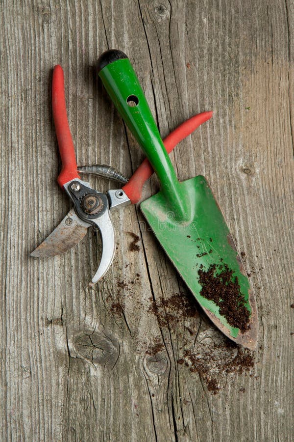 Garden Spade and Garden Scissors with Ground Stock Photo - Image of ...
