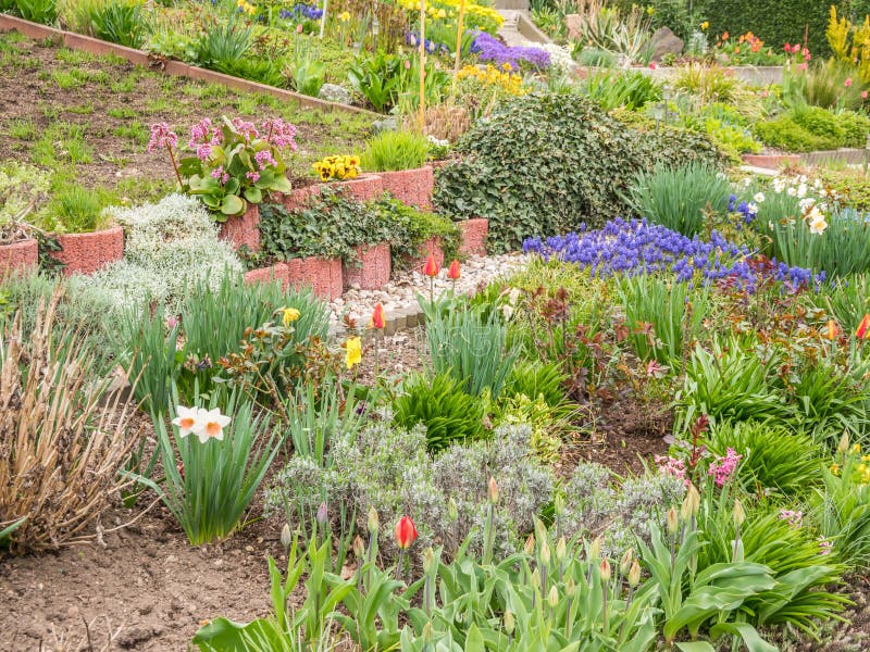 Colorful Garden in the Spring Stock Photo - Image of flower, design ...