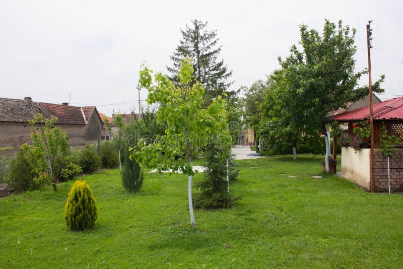 Garden in spring stock photo. Image of trees, spring - 80764024