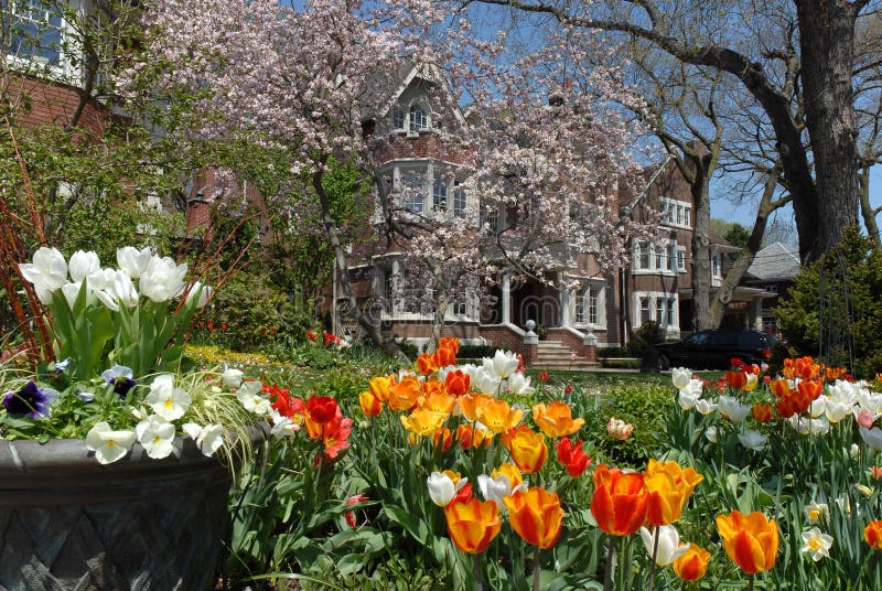 Garden with spring flowers stock photo. Image of hyacinth - 4283040