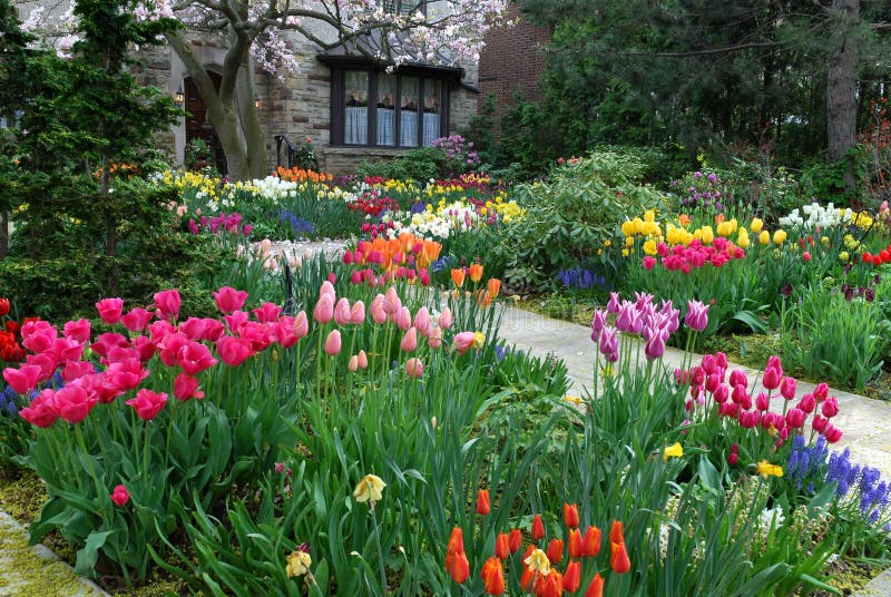 Garden with spring flowers stock photo. Image of sidewalk - 5210682
