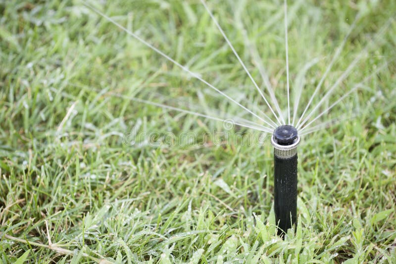 Garden sprinkler in action stock photo. Image of focus - 23507384