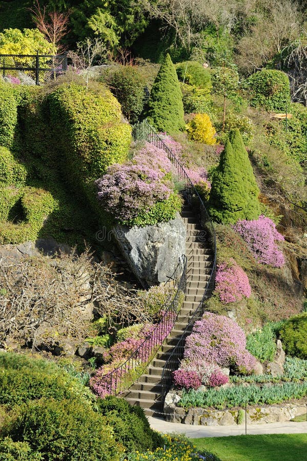 Garden stair stock photo. Image of butchart, outdoor - 14471476