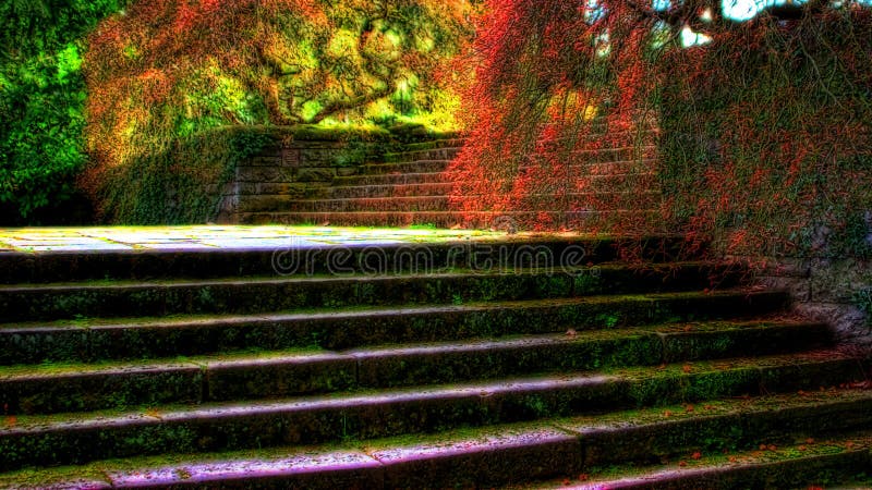 Steam Radiator stock image. Image of architecture, heat - 954173