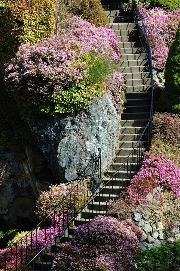 Garden stair stock photo. Image of butchart, outdoor - 14471476