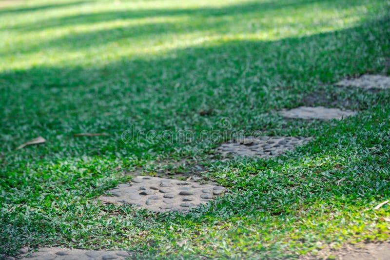 Garden Stepping Stone Path through Green Grass Lawn Stock Photo - Image ...