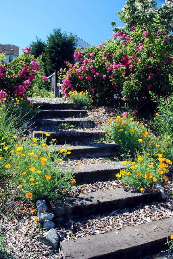 Garden steps stock photo. Image of park, ornamental, view - 2322280