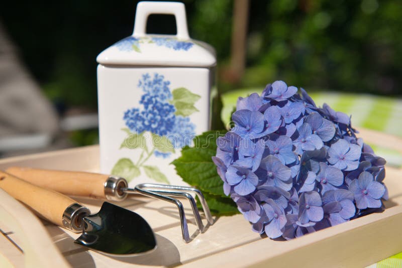 Garden still Life stock photo. Image of relaxing, glass - 18780120