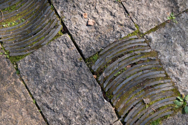 Garden Stone Path close-up stock photo. Image of natural - 298380722