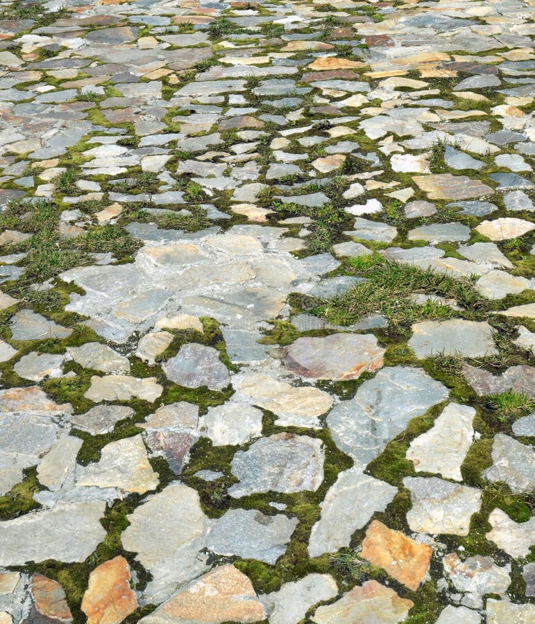 Garden Stone Path with Grass Growing Up between the Stones Stock Photo ...