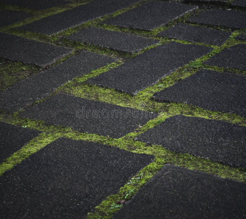 Garden Stone Path Grass Pattern Floor Outdoor Garden Stock Photo ...