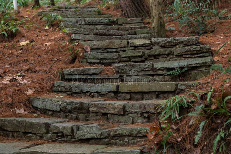 Garden Stone Path stock photo. Image of path, destination - 297636658