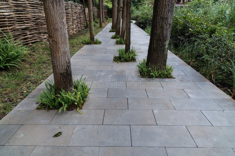 Garden Stone Path stock photo. Image of fence, walk - 297636798
