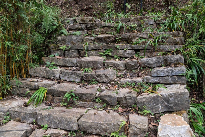 Garden Stone Path stock image. Image of step, park, fence - 297636815