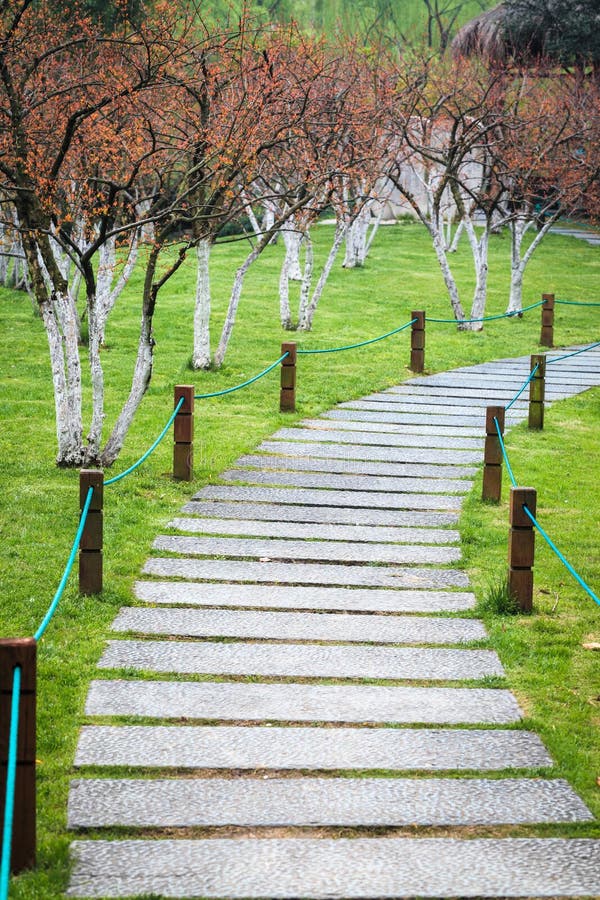 Garden stone path stock image. Image of path, natural - 31867161