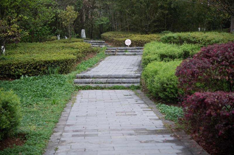 Garden stone step path stock image. Image of road, perspective - 312864383