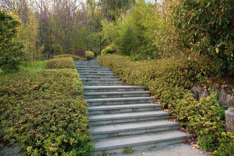 Garden stone step path stock photo. Image of green, trees - 312647952