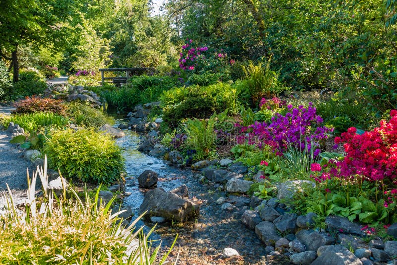 Garden Stream stock image. Image of country, willow, crystal - 73814093