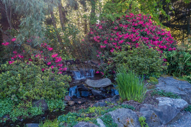 Garden Stream stock image. Image of leaf, bank, vegetation - 73813987