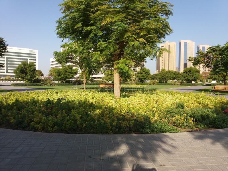 Garden stock photo. Image of tree, garden, green, stunning - 131284034