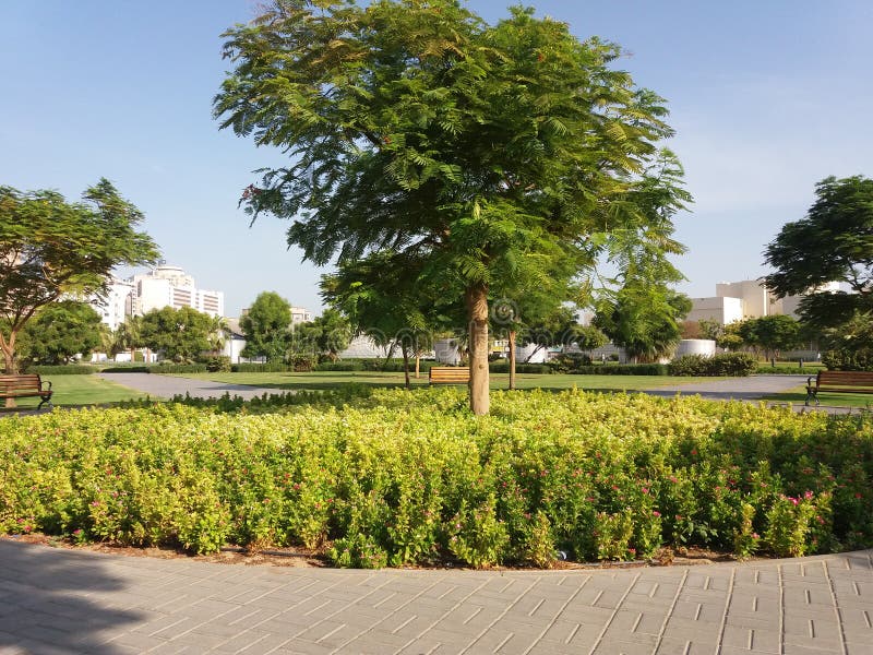 Garden stock image. Image of stunning, garden, center - 131284083