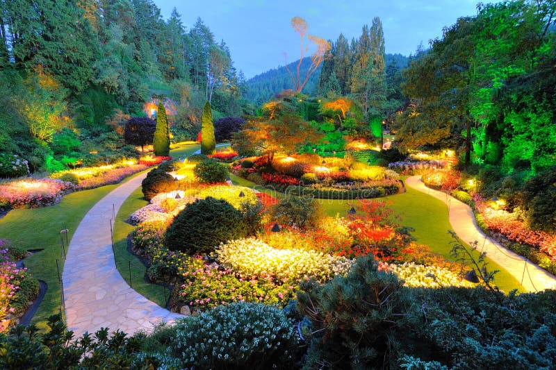 Garden summer night stock image. Image of attraction - 15216545