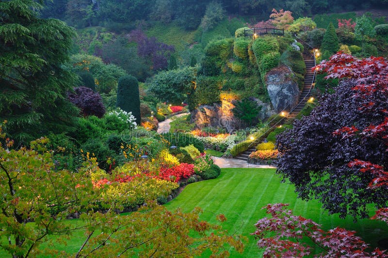 Garden summer night stock image. Image of attraction - 15216545