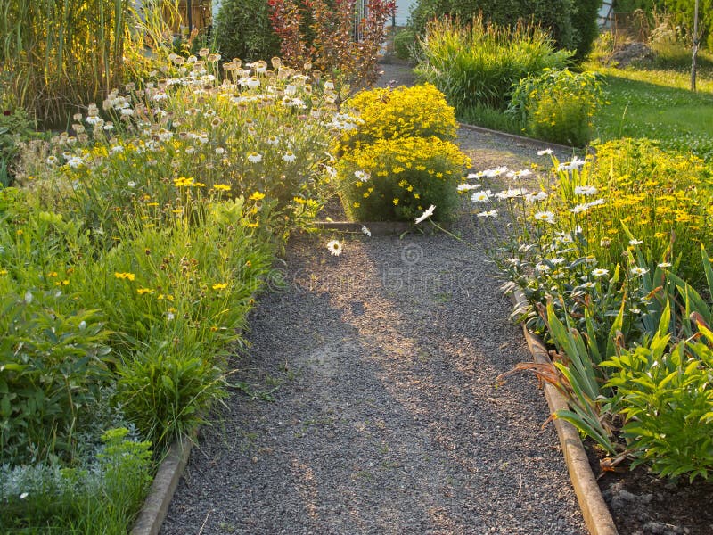 Secret garden path stock photo. Image of picket, lupin - 25326696