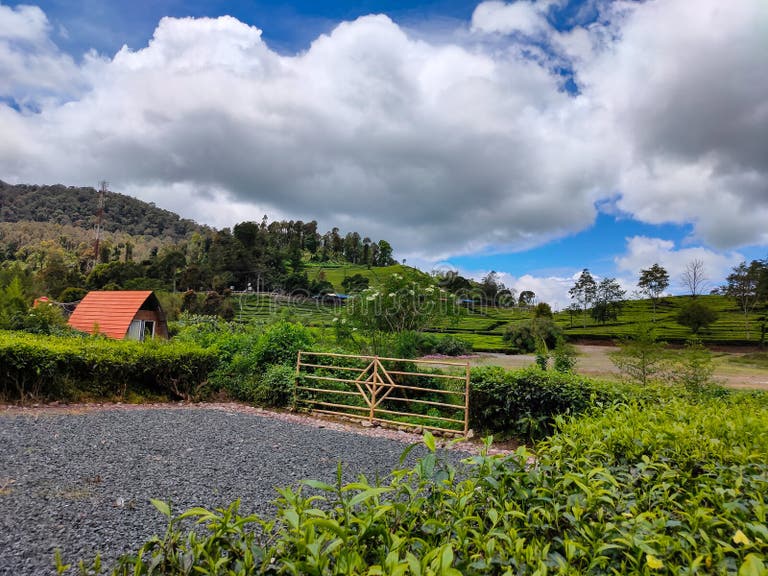 A Garden in a Sunny Setting Stock Image - Image of setting, sunny ...