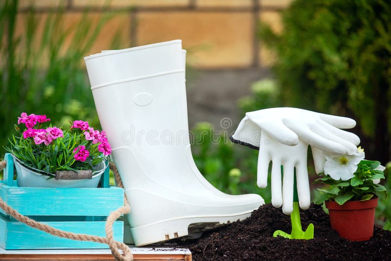 Garden Supplies and Flowers in the Garden. Stock Image - Image of ...