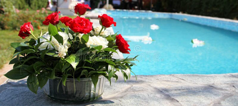 Garden with swimming pool stock photo. Image of blue - 33883182