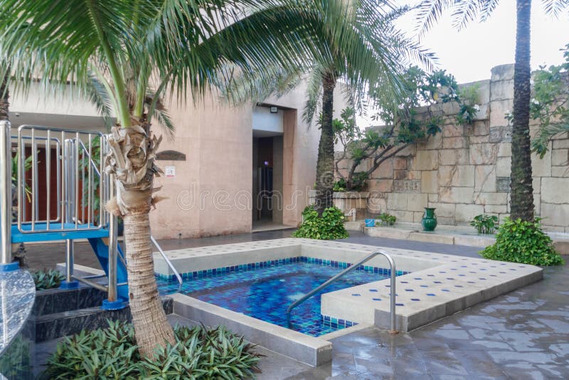 Garden and Swimming Pool in Residential Area Stock Image - Image of ...