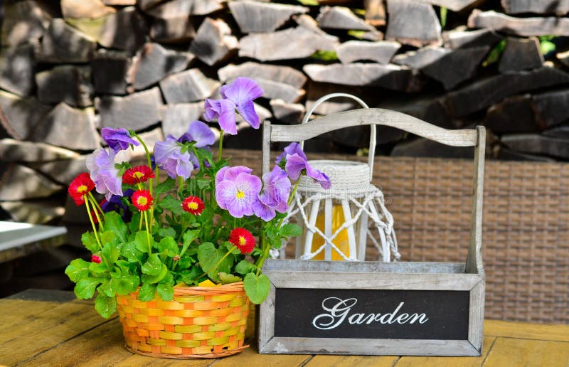 Garden terrace Flower stock image. Image of hobby, idyll - 41114519