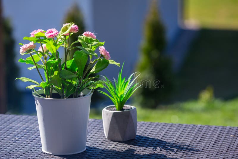 Garden Terrace with a Seating Set on a Sunny Day Stock Photo - Image of ...