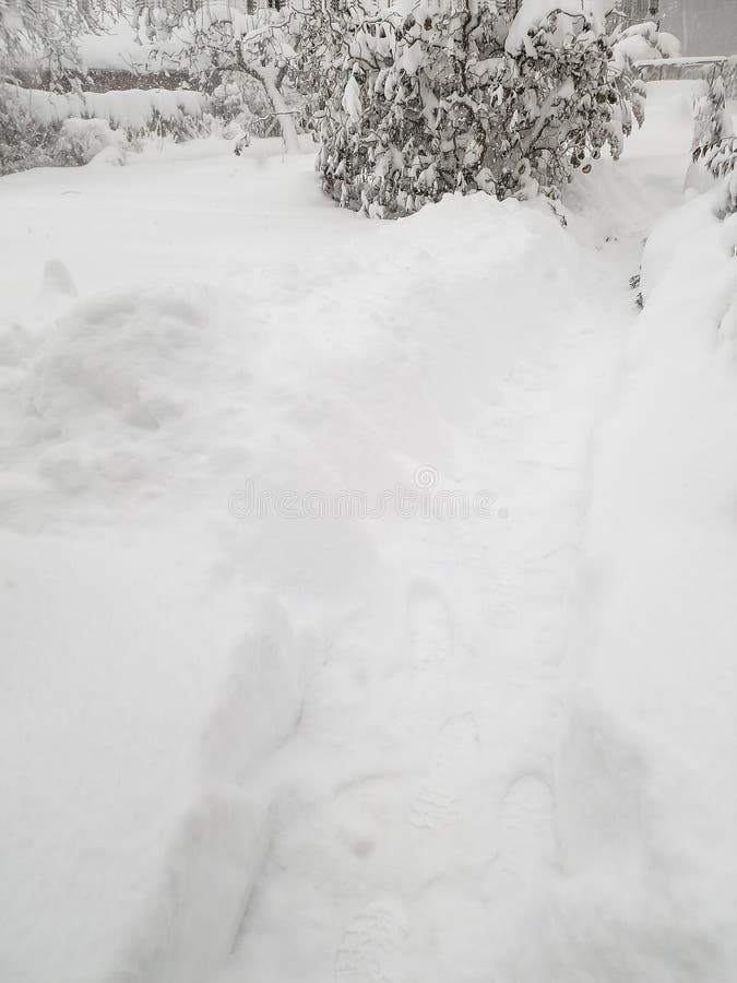 Garden with a Thick Layer of Snow on a Winter Day Stock Image - Image ...