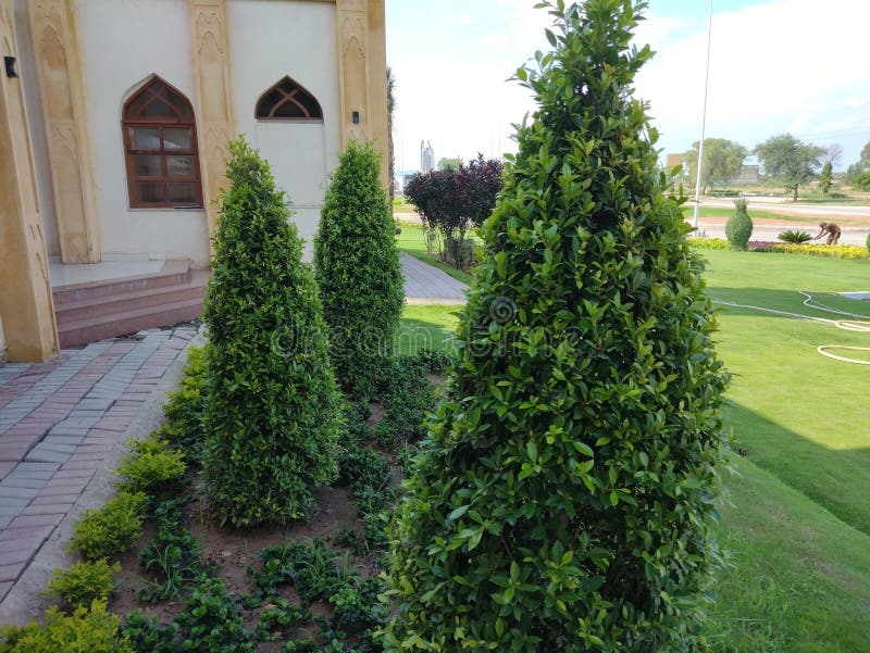 Garden Three Tree Leaf Grass Nature People Work Walk Path Way Stock ...