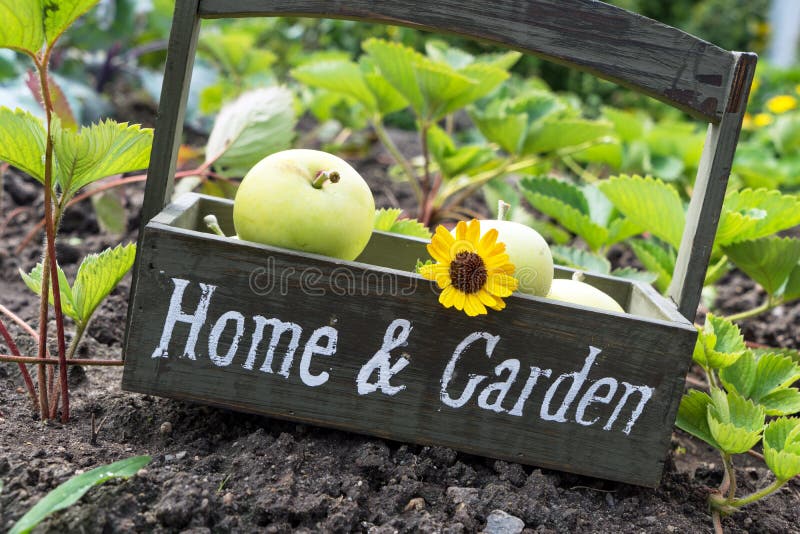 Garden time stock photo. Image of switch, apple, race - 96546026