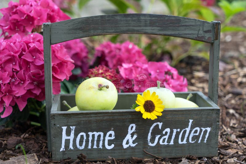 Garden time stock photo. Image of relaxation, apple, relax - 96546038