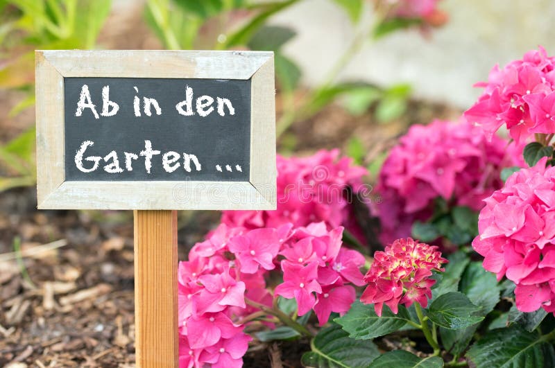 Garden Time stock photo. Image of garden, colorful, time - 96545742