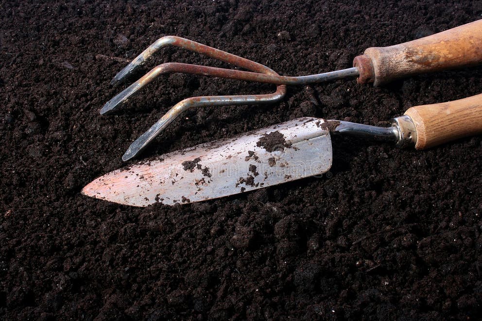 The garden tool stock photo. Image of autumn, agriculture - 11269548