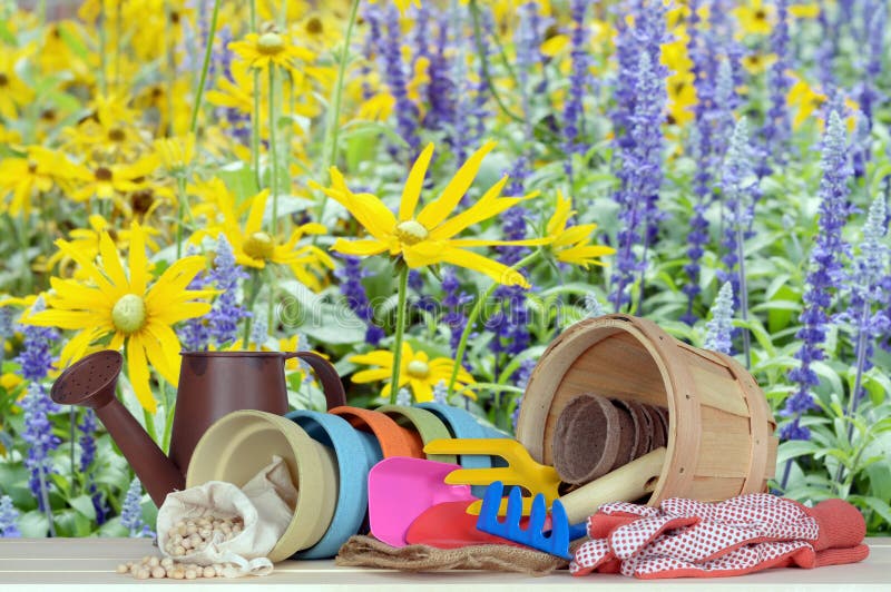 Garden tools stock photo. Image of plant, flower, agriculture - 108180838