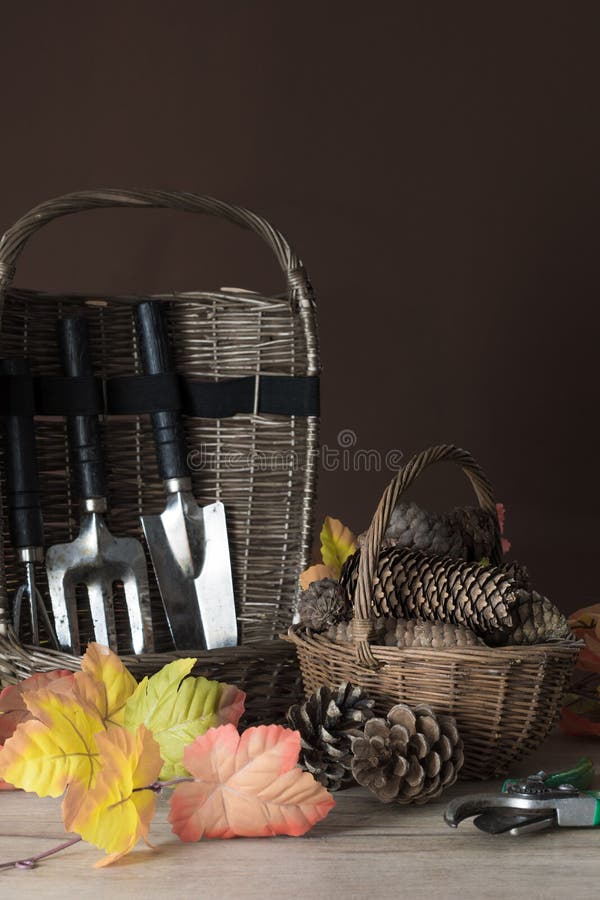 Garden tools for autumn stock image. Image of hedge, organic - 32967219