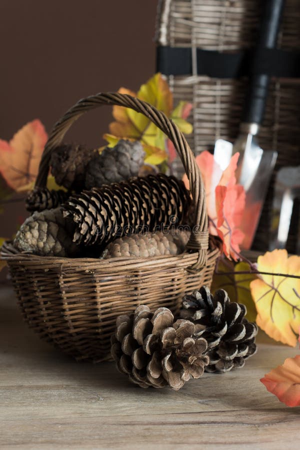 Garden tools for autumn stock image. Image of pinecones - 32967279