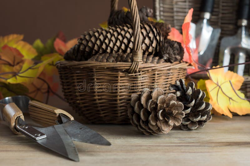 Garden tools for autumn stock image. Image of metal, organic - 32962997