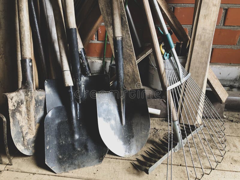 Garden Tools in the Barn, Shovels, Rakes. Stock Photo - Image of rake ...