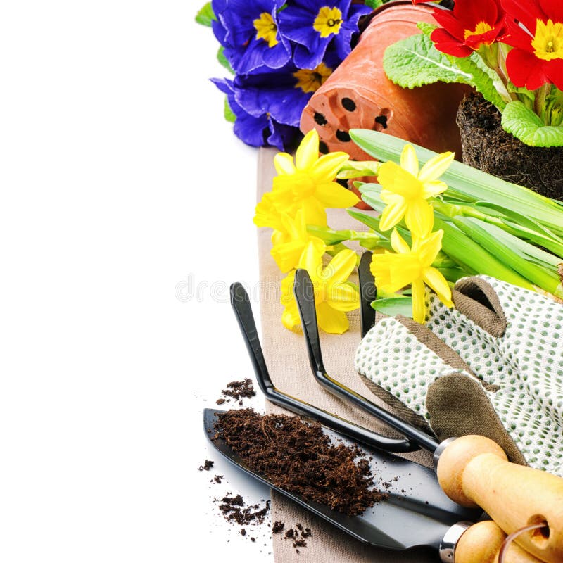 Gardening Tools and Flowers Stock Photo - Image of planting, isolated ...