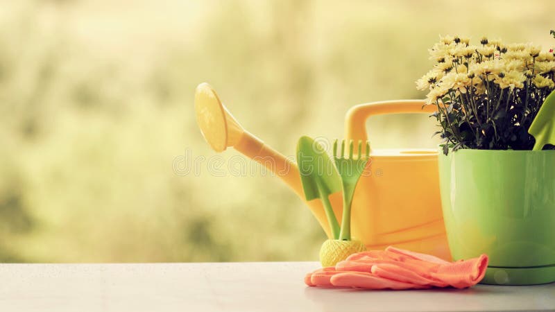 Garden Tools with Decorative Summer Flowers Background,border Stock ...